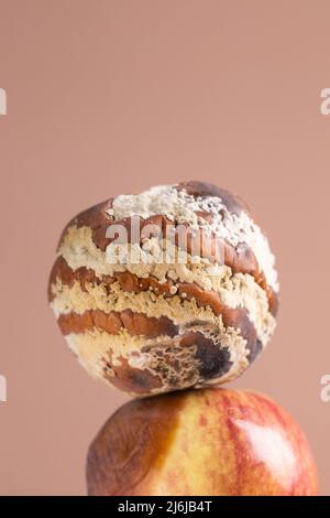 Apple with mold and fresh apple on beige background - mold growth and ...