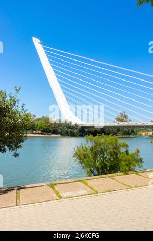 Seville: Alamillo Bridge, designed by architect Santiago Calatrava ...