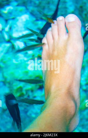 Feet at blue turquoise water limestone cave sinkhole cenote Mexico ...
