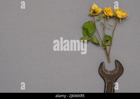 Fading flowers and a rusty wrench. Three dried roses and an old hand ...
