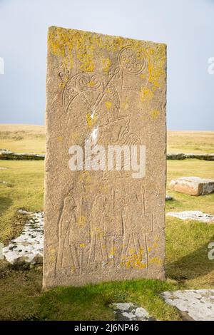 Pictish standing stone, Brough of Birsay, Orkney, UK 2022 Stock Photo ...