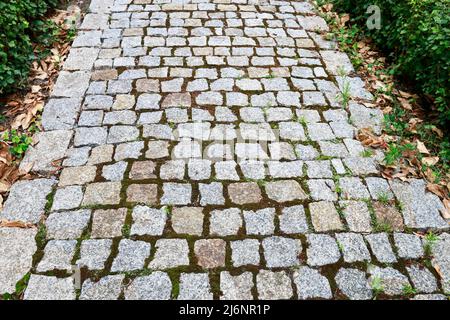 Cobbled path in the garden. Garden hobby Stock Photo - Alamy