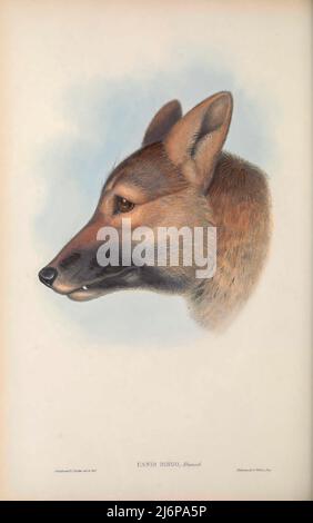 John Taylor from The Australian Book of Records holds a counter reading ...