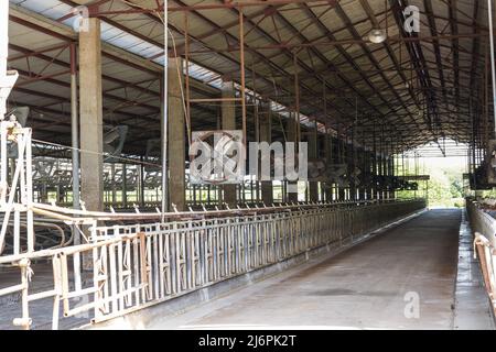 Vacant factory building of a professional dairy farming base Stock ...