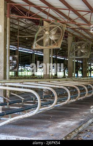 Vacant factory building of a professional dairy farming base Stock ...