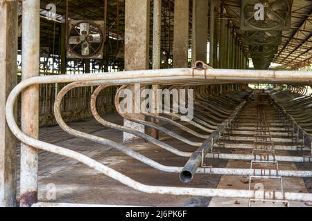 Vacant factory building of a professional dairy farming base Stock ...