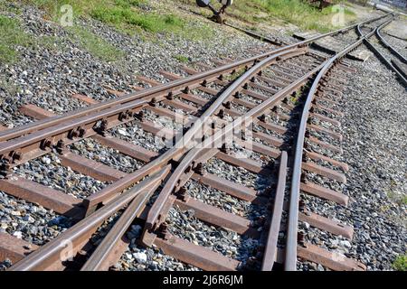 Weiche, Schmalspurbahn, Gleis, Gleise, Zunge, Zwischenschiene ...