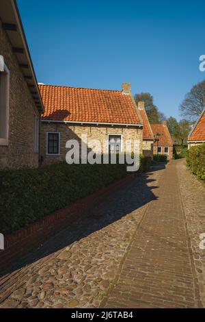 clean the tulips in the Netherlands. Europe Stock Photo - Alamy