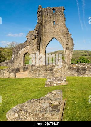 Talley Abbey in Spring Stock Photo - Alamy