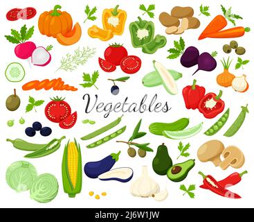 fresh avocados vegetables healthy food Stock Vector Image & Art - Alamy