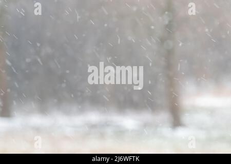 Falling snow, wintertime bokeh - snowflakes with motion blur against ...