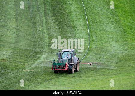 Spreading slurry with an umbilical system on a Fendt 828 tractor, to ...