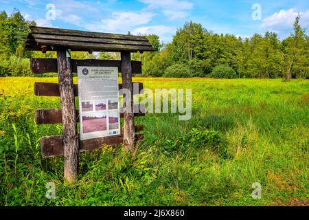 Warsaw, Poland - September 20, 2020: Summer landscape of Puszcza ...