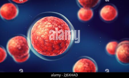 Embryonic stem cells. Repairing damaged cells by reducing inflammation ...