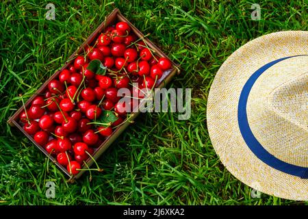 Defocus top view of box of sweet cherries, cropped hat and bright color ...