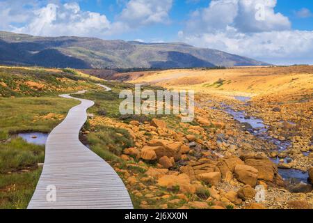 A boardwalk on Tablelands Trail, Gros Morne National Park, Newfoundland ...