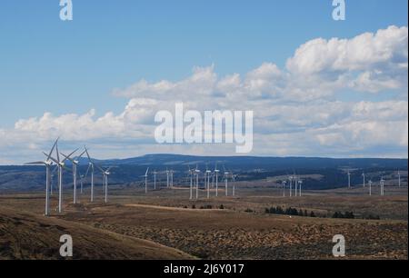 Wind farm array in Eastern Washington State Stock Photo - Alamy