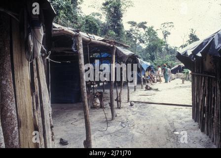 Yanomami Indigenous People, Amazon rainforest, Roraima State, Brazil ...