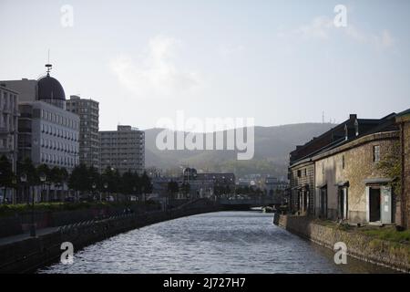 sapporo otaru japan bird Stock Photo - Alamy