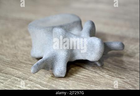 Prototype human spine bone printed on 3D printer. Model printed on 3D ...