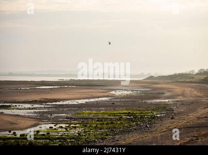 craig tara beach ayrshire scotland Stock Photo - Alamy