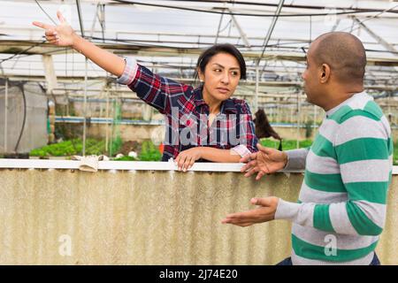 Farm neighbors quarrel over farm backyard in day Stock Photo - Alamy