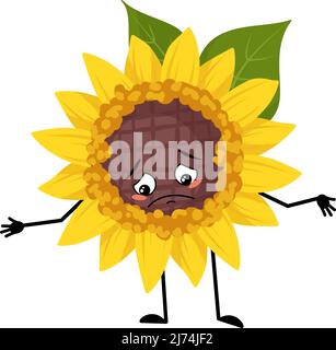 Sunflower character with crying and tears emotion, sad face, depressive ...