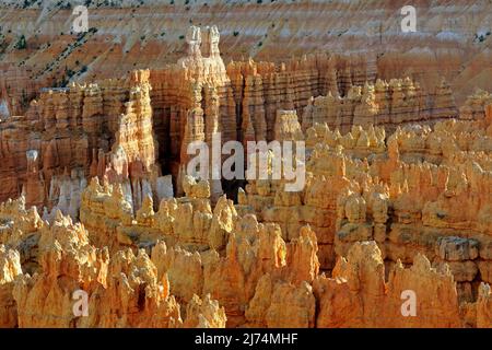 Rock formations and hoodoos in the evening, Bryce Canyon National Park ...
