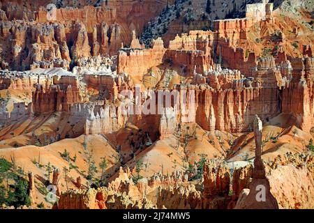 Rock formations and hoodoos in the evening, Bryce Canyon National Park ...