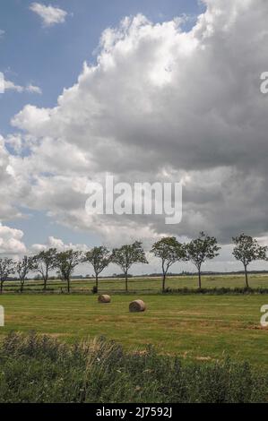 Weener and the river ems in germany Stock Photo - Alamy