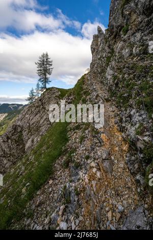 Narrow path between rocks in Needles District, Canyonlands Stock Photo ...