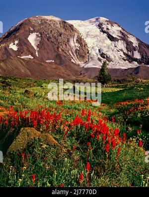 Mt. Adams and Adams Glacier, Mt Adams Wilderness, Washington Stock ...
