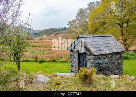 Historic Bwthyn Pennant Cottage, a 16th-century farmhouse in Cwm ...