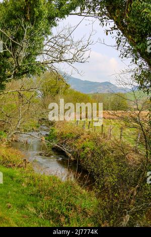 Cwm Pennant valley and the Afon Dwyfor river, Snowdonia National Park ...