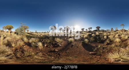 360° view of An immersive 360-degree equirectangular panoramic ...