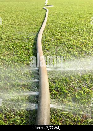 wasting water - water leaking from hole in a hose Stock Photo - Alamy