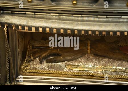 Saint vincent holy relic arm valencia Stock Photo - Alamy