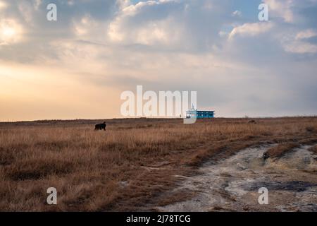isolated church at yellow grass field with dramatic sky at morning from ...