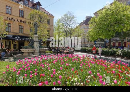Wien, Wiedner Hauptstraße, Cafe Wortner, Tulpenbeet Stock Photo - Alamy