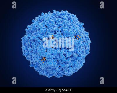 Protein cage, illustration Stock Photo - Alamy