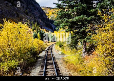 Color view back along narrow gauge track Stock Photo - Alamy