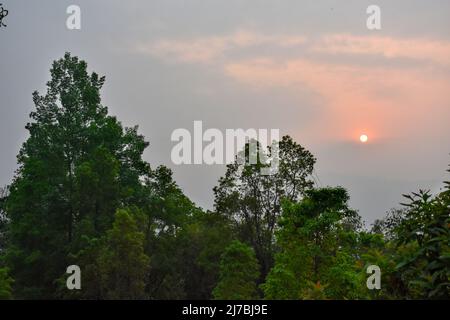 A mesmerizing view of a beautiful green field with trees against a ...