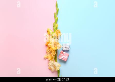 Beautiful gladiolus flowers, gift boxes, rope and scissors on grey ...