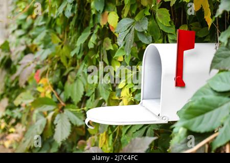 Vintage mailbox among green leaves outdoors Stock Photo - Alamy