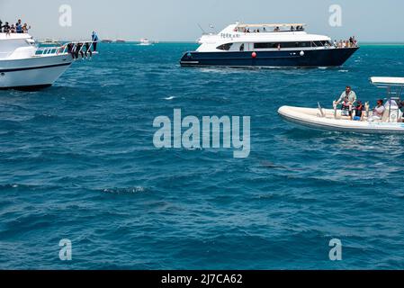 Sailing Ship, Red Sea, Egyp, sailboat, Red Sea, boat, boat, frontal ...