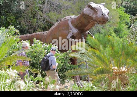 Visitors admire a towering metal T-Rex sculpture at Kirstenbosch ...