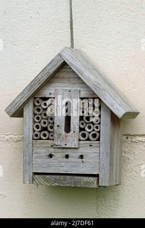 Bug hotel in the shape of a bird nest box with bamboo canes and holes ...
