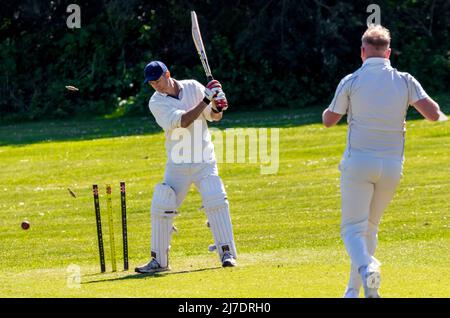 Sunday cricket match in sunshine Stock Photo - Alamy
