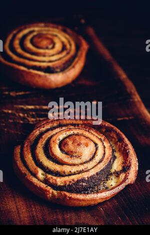 Yummy and sweet poppy seed cake for Christmas with cocoa Stock Photo ...