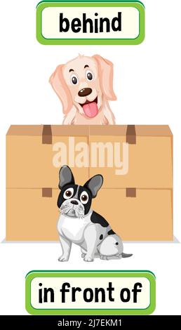 Opposite words for in front of and behind illustration Stock Vector ...